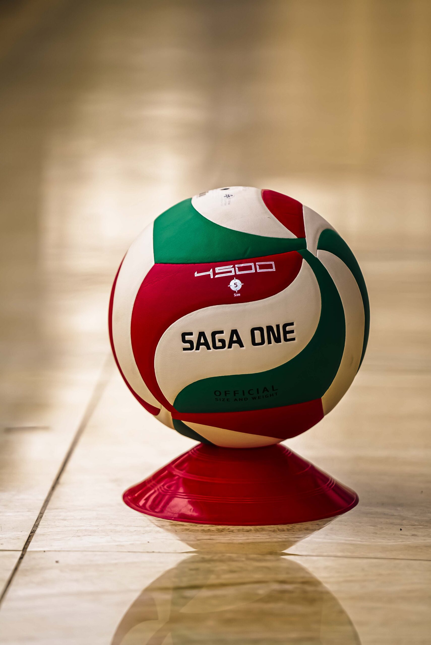 Saga One Standard Volleyball – Milele Shop